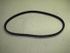 Belt For M35A3 Water Pump, 7E0744