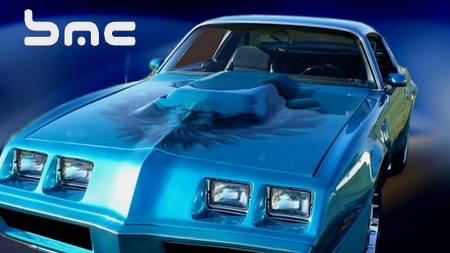 1977-1981 Pontiac Firebird 3" L88 Style Hood