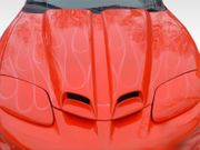 Firebird Hoods