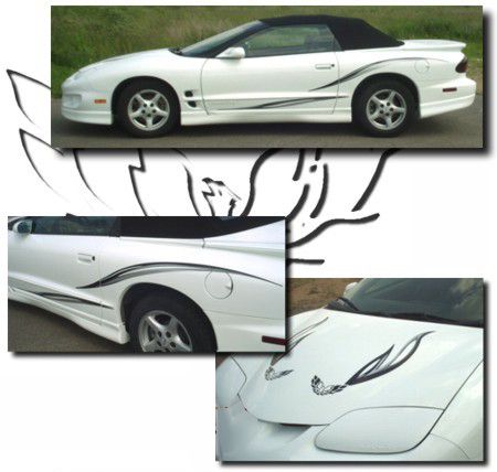 1998-2002 Pontiac Trans Am Body Graphics Kit 1