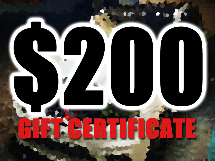 $200 GIFT CERTIFICATE