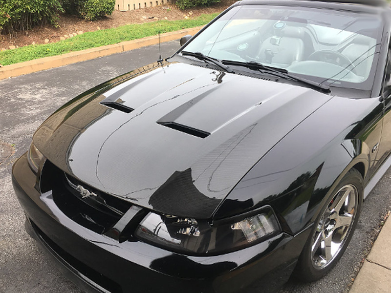 2003-2004 Mustang Carbon Fiber Terminator Style Hood