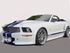 2005-2009 Ford Mustang Eleanor Complete Body Kit