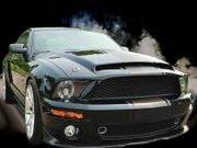 2007-2009 GT500 Hoods