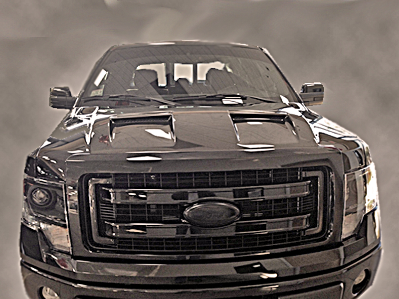2009-2014 F-150 Ford Fiberglass Aftermarket Hood Vis DS 09FDF152DDS-010