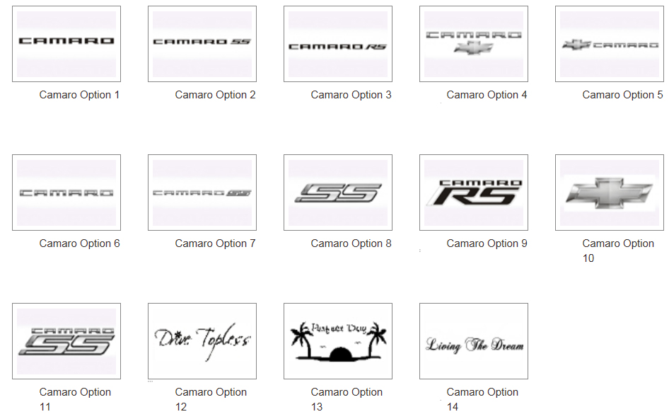 2010-2013 Chevrolet Camaro Convertible Wind Restrictor Windscreen ...