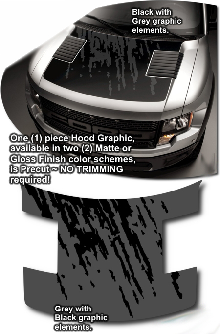 2010 -2013 Ford F-150 Raptor Graphic Kit 2