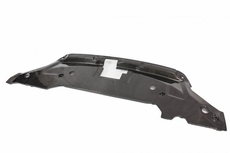 Mustang GT500 Radiator Cover