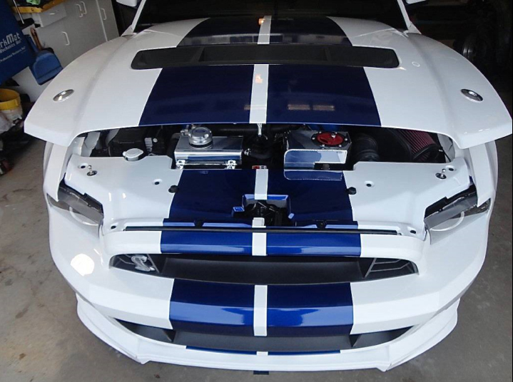 2010-2014 Mustang GT500 Bangastang's Radiator Cover