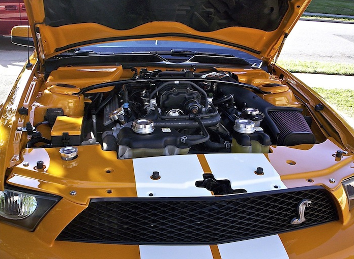 2010-2014 Mustang GT500 Bangastang's Radiator Cover