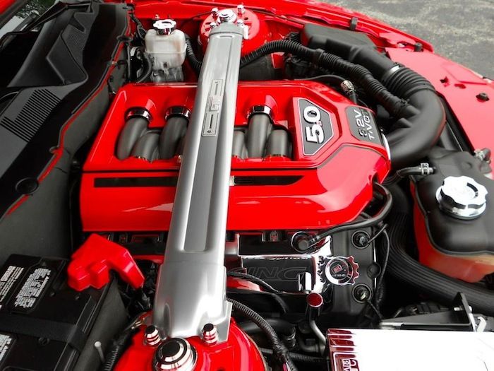 2011-2014 Mustang 5.0 Painted Plenum Cover