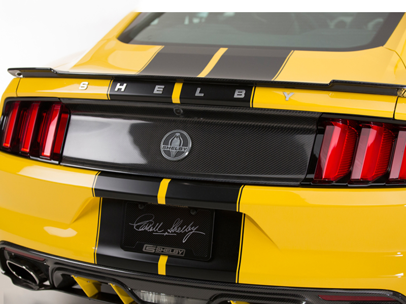 2015-2020 Mustang Carbon Fiber Rear Spoiler SGT045