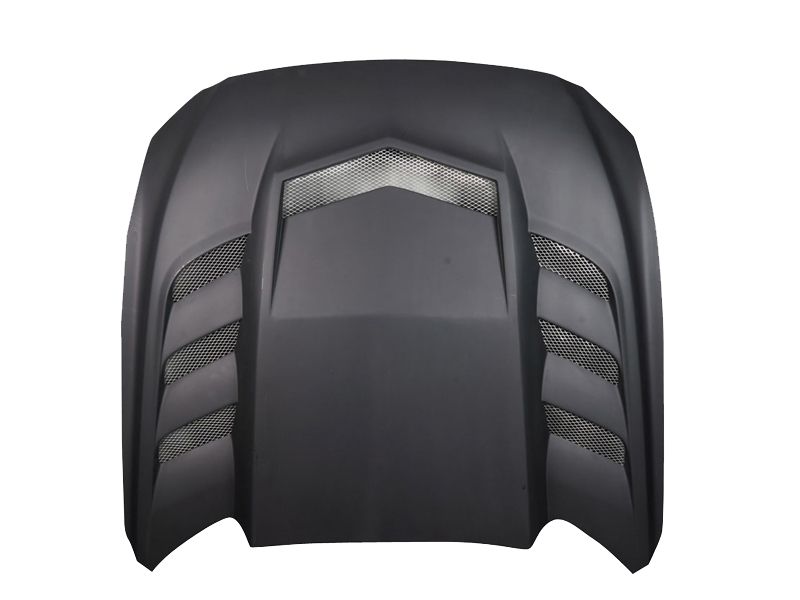 2015-2017 Ford Mustang Interceptor Hood