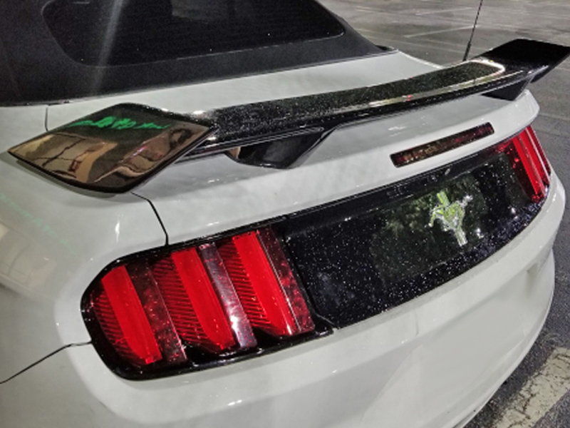 2015-2023 Mustang Boy Racer Rear Spoiler PAINTED