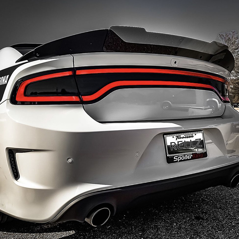 2015-2022 Dodge Charger SRT Stealth Wicker Bill