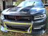 2015-2020 Dodge Charger Predator Custom Grille