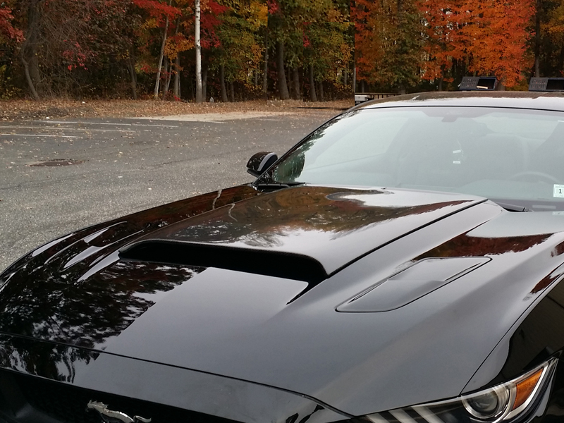 Mustang 2015-2016 Carbon Fiber Hood Scoop Concept 1