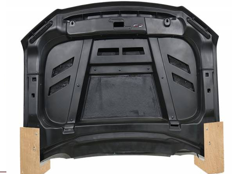 Ford F150 Raptor Carbon Fiber Hood Terminator Style Hood