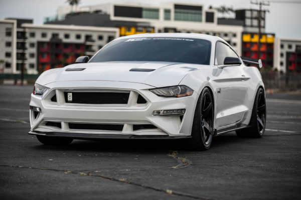 2018-2020 Ford Mustang OEM Carbon Fiber Front Lip