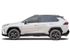 2019-2023 TOYOTA RAV4 PAINTED BODY SIDE MOLDING