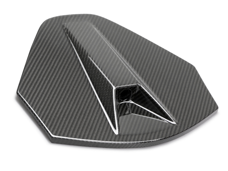 2020-2023 CORVETTE C8 CARBON FIBER REAR CAMERA DECKLID HOUSING PANEL