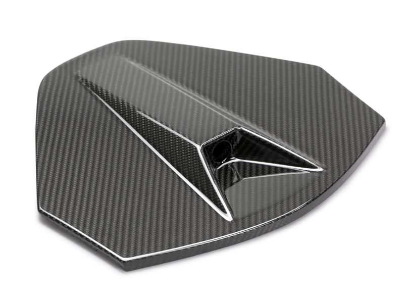 2020-2023 CORVETTE C8 CARBON FIBER REAR CAMERA DECKLID HOUSING PANEL