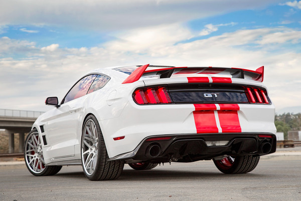 2015-2023 Mustang Boy Racer Rear Spoiler