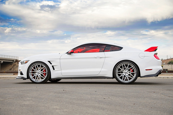 2015-2023 Mustang Boy Racer Rear Spoiler