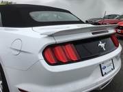 2015-2023 Mustang Spoilers