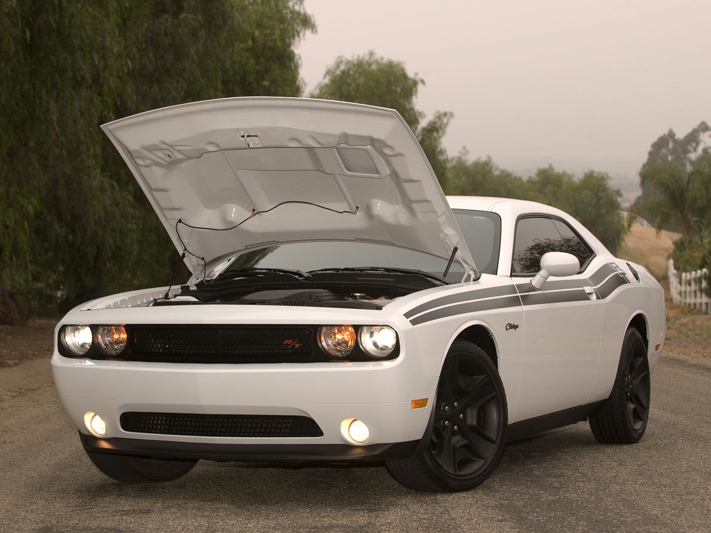 RKSport 47011000 Dodge Challenger Ram Air Hood 2008-2022