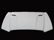 Custom Hoods for your 2011-2014 Dodge Charger