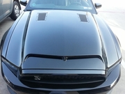 2010-2014 Mustang GT500 Hoods
