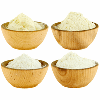 Dehydrated Fruit Juice Powder by Firehouse Flavors