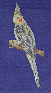 Pearl Cockatiel Cross Stitch Pattern
