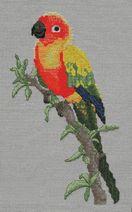 Sun Conure Parrot Cross Stitch Pattern