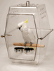 Bird Carriers