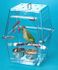 Small Wingabago® carrier