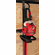 Holds a Hedge trimmer and chainsaw by their loop handles for enclosed ...