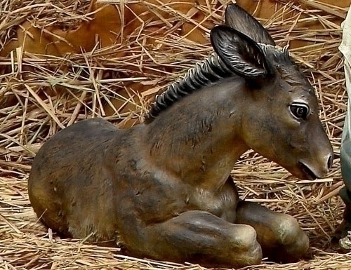 Donkey Figure for Nativity Set | HolyFamilyOnline.com