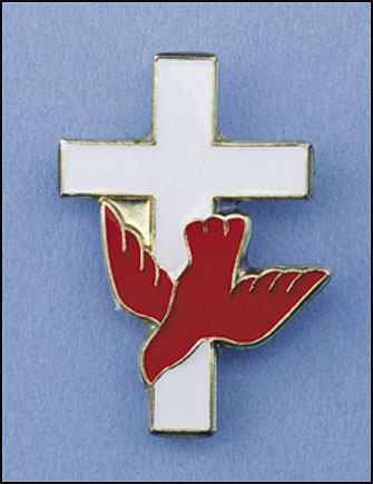 Red Dove/Cross Lapel Pin 1 1/4 in | HolyFamilyOnline.com