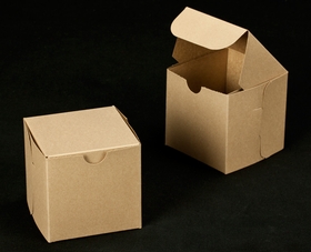 Natural Brown Bakery Boxes (eco-friendly)