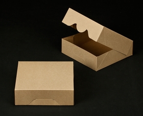 Natural Brown Bakery Boxes (eco-friendly)