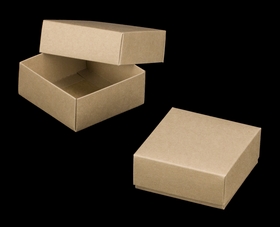 Natural Brown Bakery Boxes (eco-friendly)