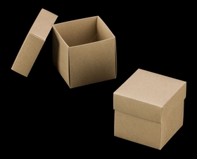 Natural Brown Bakery Boxes (eco-friendly)