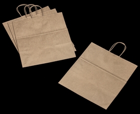 Paper Shopping Bags