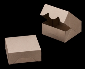 Natural Brown Bakery Boxes (eco-friendly)