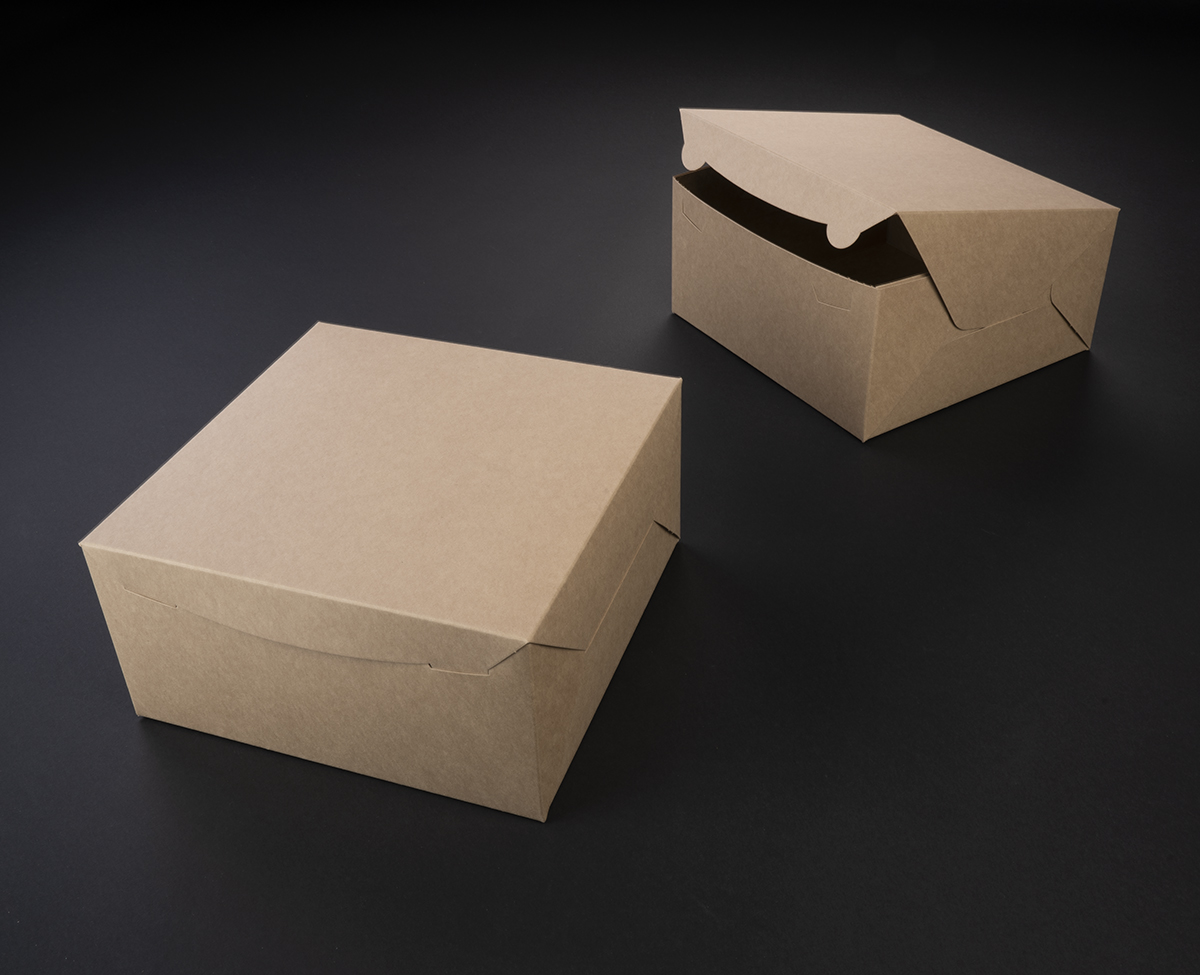 4497 - 10" x 10" x 5" Brown Lock & Tab Box without Window