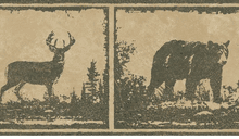 Animals Themes - Wildlife Wallpaper Borders