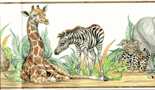 Animals Themes - Wildlife Wallpaper Borders