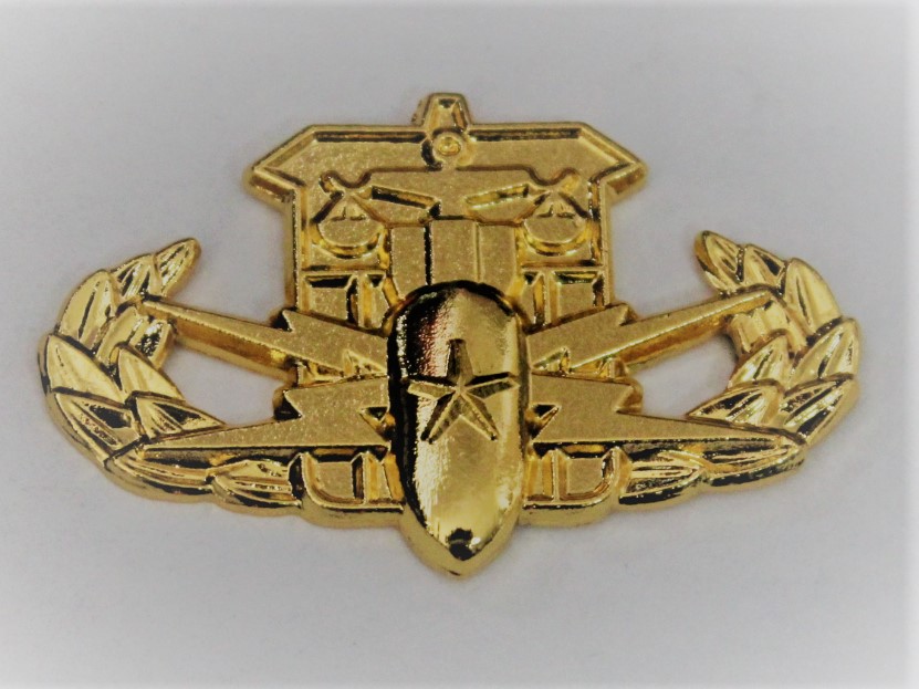 Regular Gold Finish HDT Senior Pin